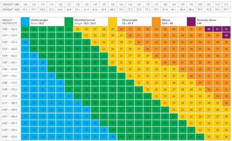 Bmi Chart Imperial And Metric Our Private Doctor