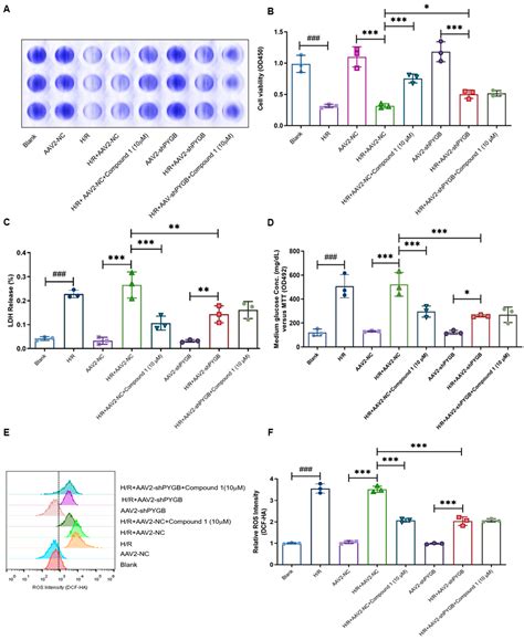 A Novel 5 Chloro N Phenyl 1H Indole 2 Carboxamide Derivative As Brain Type Glycogen