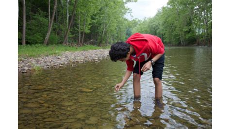 The Fix Our Forests Act” Wont Actually Fix Our Forests