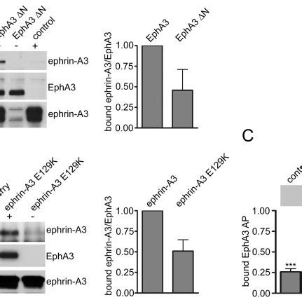 Angiogenesis RT² Profiler PCR Array data and expression analysis of Download Scientific