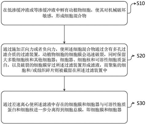 一种柱式法从细胞中分离总膜的方法与流程