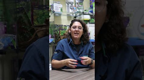 QUAL O MELHOR SUBSTRATO PARA AQUÁRIO PLANTADO Peixemania