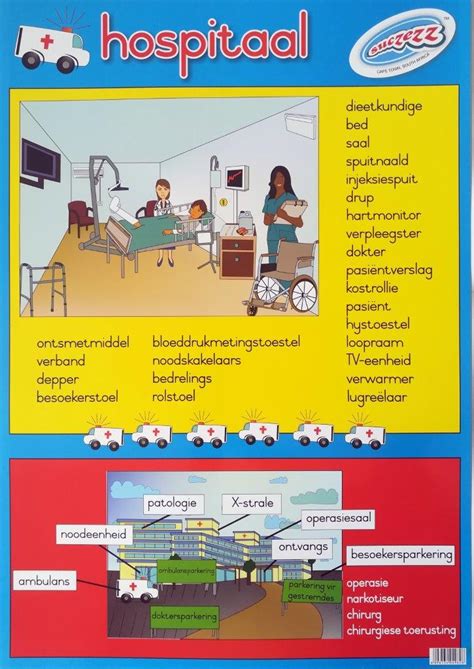 Hospitaal Afrikaanse Gelamineerde Muurkaart Plakkaat Educational