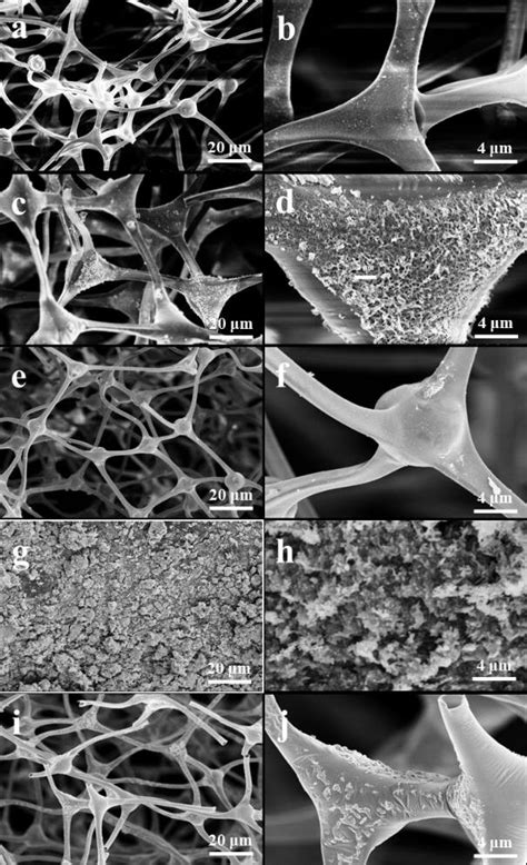 Sem Of Cmf A B Co Cmf C D N Cmf E F Co3o4 G H And Download Scientific Diagram