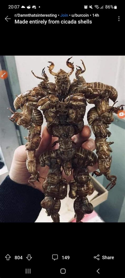 Thanks I Hate Shell Transformer Rtihi