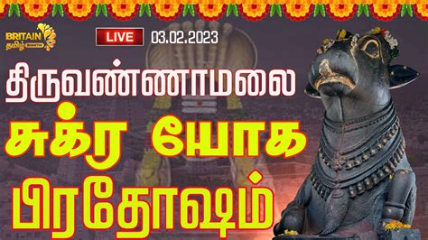 🔴live Thiruvannamalai Pradosham திருவண்ணாமலை சுக்ர யோக பிரதோஷம்