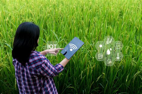 Smart Farming Dengan Internet Of Things Konsep Iot Pertanian Dan Teknologi Modern Digunakan