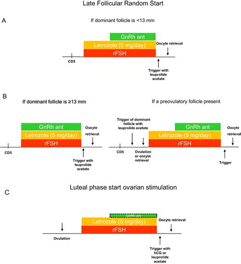 Random Start Controlled Ovarian Stimulation Protocols Key Case