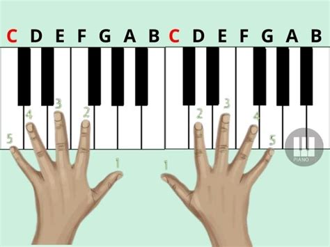 Luyện Ngón Piano Cho Người Mới Bắt đầu
