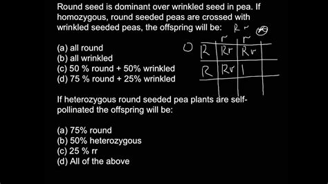 Simple Mendelian Genetics Youtube