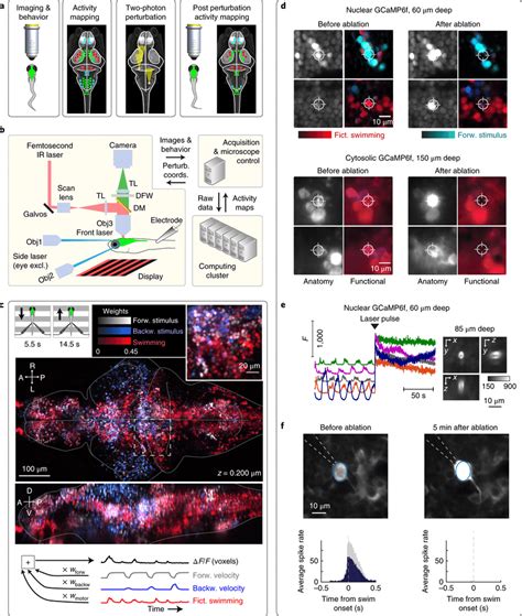Experiment Workflow Analysis And Ablation Demonstration A Overview Download Scientific