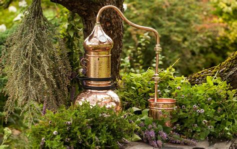 How To Make Essential Oils At Home In 9 Easy Steps