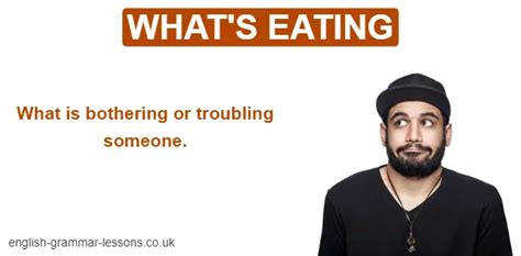 Whats Eating