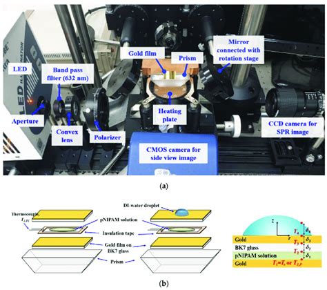 A Picture Of The Present Surface Plasmon Resonance Imaging Spri