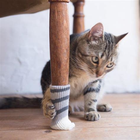 Cat Paw Chair Socks Socks For The Legs Of Your Chairs 36 Pieces 9