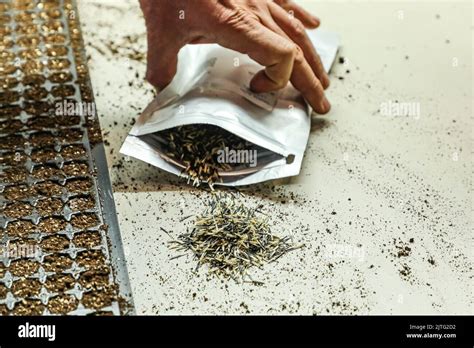 Plastic Tray Used For Planting Seedlings Of Flowers Or Vegetables With