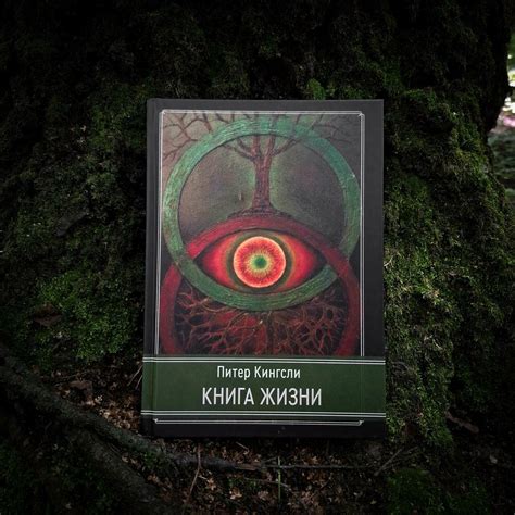 Новинки