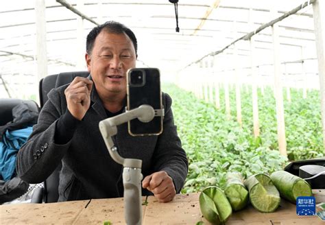 蘿蔔小鎮迎豐收 特色産業促振興 新華網
