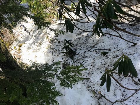【八ヶ岳・本沢温泉】日本最高所の野天風呂を目指す～残雪の峠越えと天狗岳登山のコースレポート～ Yamarii Magazineあの山に