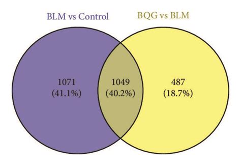 Transcriptomic Assay And Bioinformatics Analysis A Venn Diagram Of