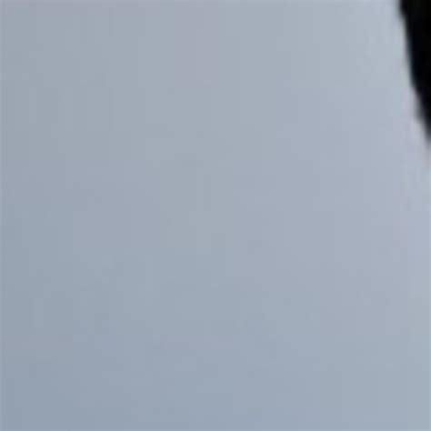 Collatzs Conjecture Prime Numbers And Irreducible Polynomials Researchgate