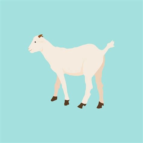 Premium Vector Vector Kambing Hewan Qurban