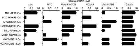 Figures And Data In Hoxa9 Promotes Myc Mediated Leukemogenesis By