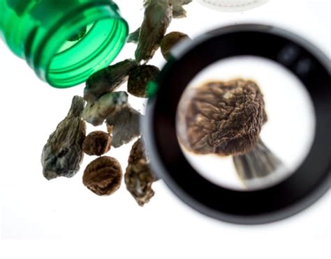 Fda Draft Guidance On Clinical Trials For Psychedelics