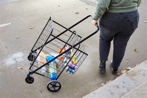 The 5 Best Grocery Shopping Carts Tested And Reviewed