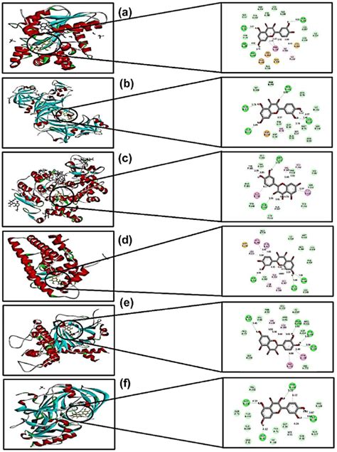 Molecular Docking Simulation Analysis A Interaction With Mycolic