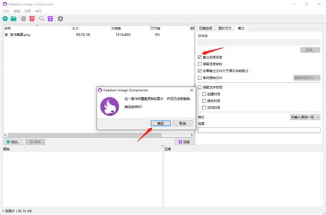 图片压缩工具 Caesium Image Compressor V271