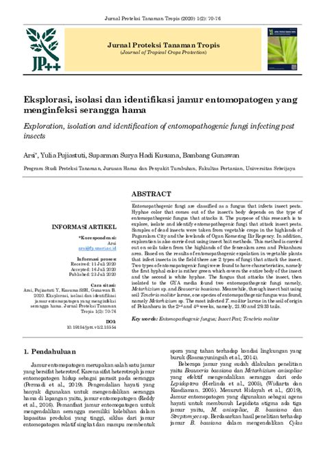 Pdf Eksplorasi Isolasi Dan Identifikasi Jamur Entomopatogen Yang