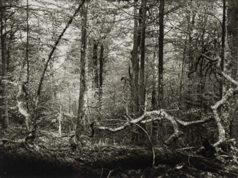 Josef Sudek Clamp