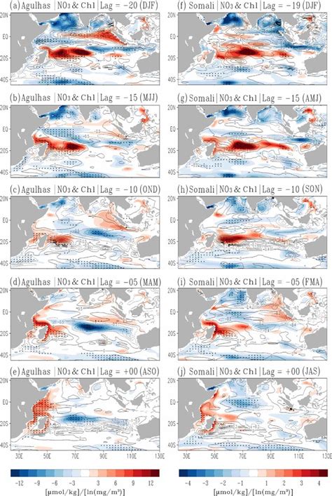 Temporal Evolution Of Nitrate And Chlorophyll Anomaly Linked To