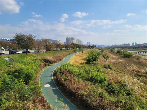 청주시 무심천 ·미호강 신속개발 다양한 행사 열기로 노컷뉴스
