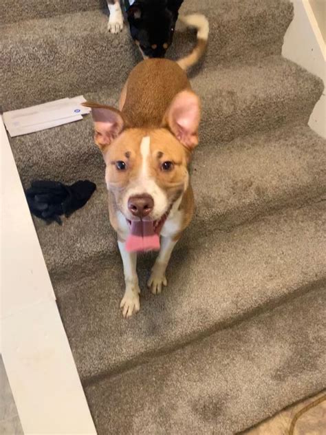 Surya Menon Posted On Linkedin