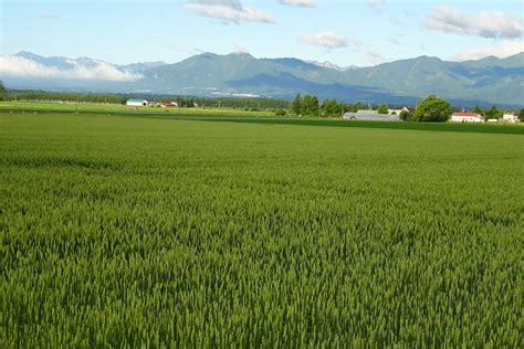 日高山脈 十勝よろず写真館 楽天ブログ