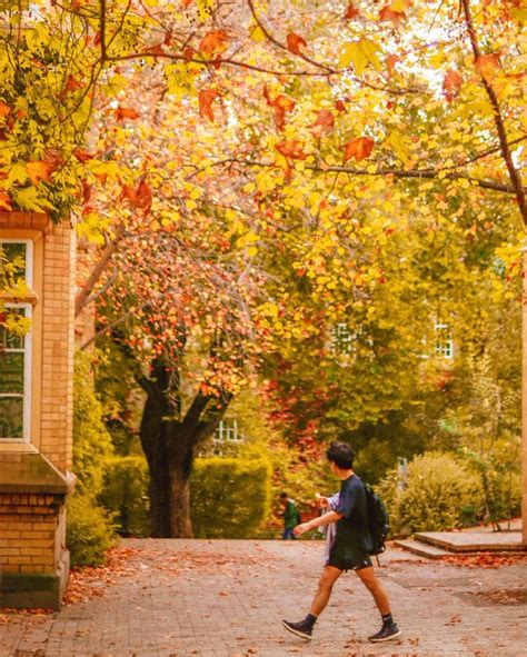 University Of Melbourne On Twitter Whos Missing Our Unimelb