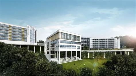 深圳南头中学深圳新安中学深圳市育才中学第16页大山谷图库