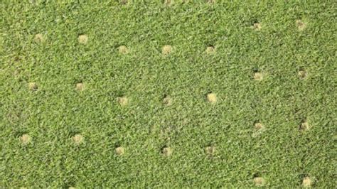 Dyna Corer Ground And Turf Management Greentek Usa And Canada