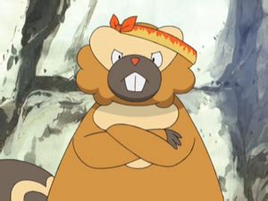 Série animée Saison Accueil Pokébip