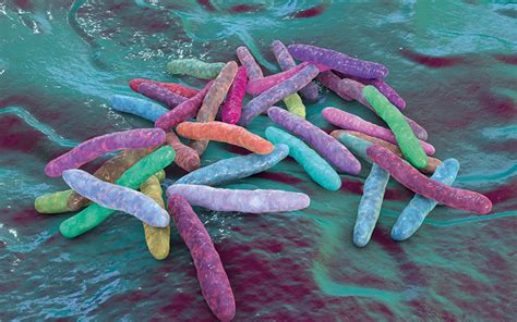 novel device for diagnosing tuberculosis biomedical scientist