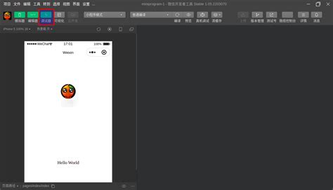 ubuntu 16 04 模拟器正常显示，调试器不显示 · issue 33 · msojocs wechat web devtools