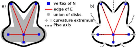 Shape Representation Model The Contour Is The Only Entity Seen By The Download Scientific