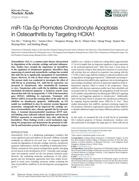 Pdf Mir 10a 5p Promotes Chondrocyte Apoptosis In Osteoarthritis By
