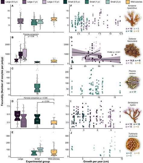 Effects Of Fragment Size And Growth Rate On Polyp Fecundity A E Download Scientific Diagram