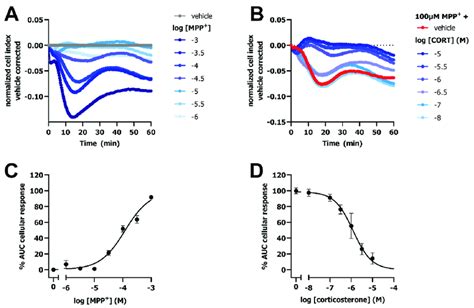 Oct3 Mediated Transport Of Mpp And Mpp Inhibition By Download