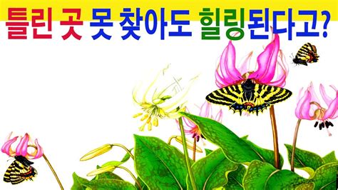 【꽃관찰퀴즈틀린그림찾기다른그림찾기지운그림찾기】모두가 깜짝 놀란 뇌 힐링 정말 뇌 활성화 운동에 효과 있어 Youtube
