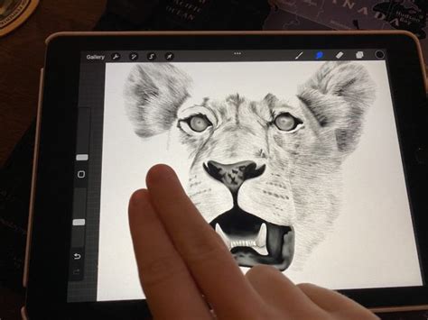 How To Use The Undo And Redo Gestures In Procreate Adventures With Art
