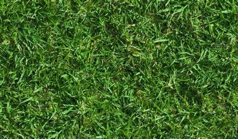 Second Life Marketplace Grass Texture